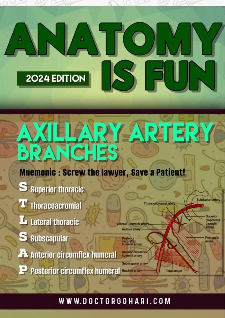 Anatomy Is Fun (Color) – medicalplus.com.bd